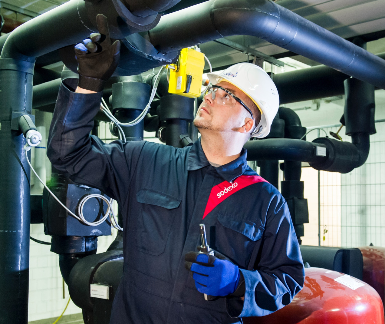 Early Careers & Apprenticeships - Sodexo UK & IE Careers